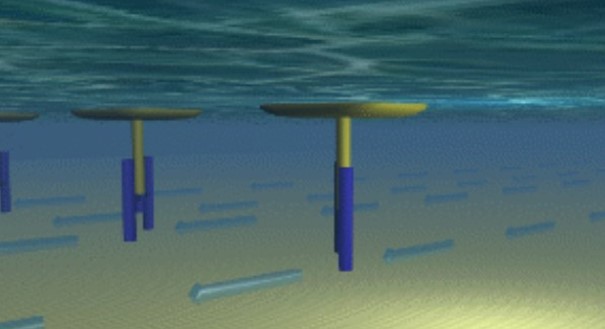 Tidal and Wave Renewable Energy